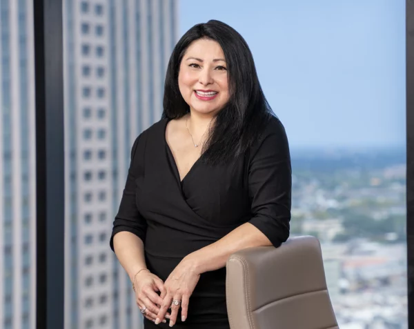 Elia Diaz-Yaeger Elected 2019-2020 President-Elect of the Hispanic ...